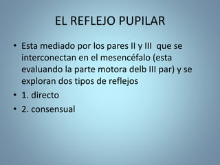 1 cuidado de enfermeria en la valoracion del sistema nervioso | PDF
