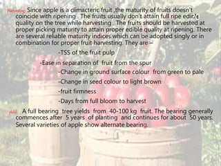 1 cultivation practices of apple | PPTX