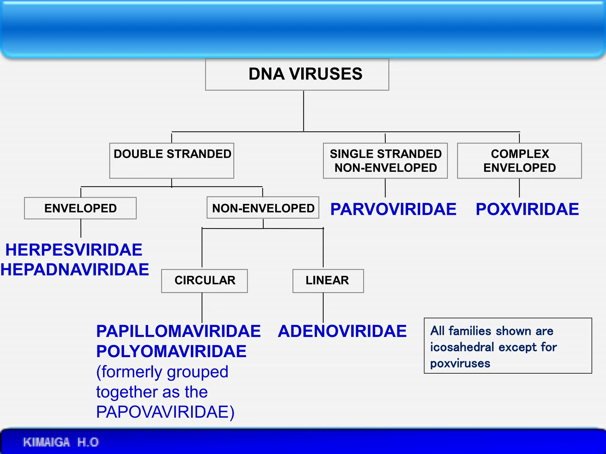 1D. CLASSIFICATION OF VIRUSES.pptx