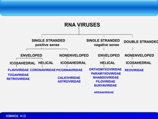 1D. CLASSIFICATION OF VIRUSES.pptx