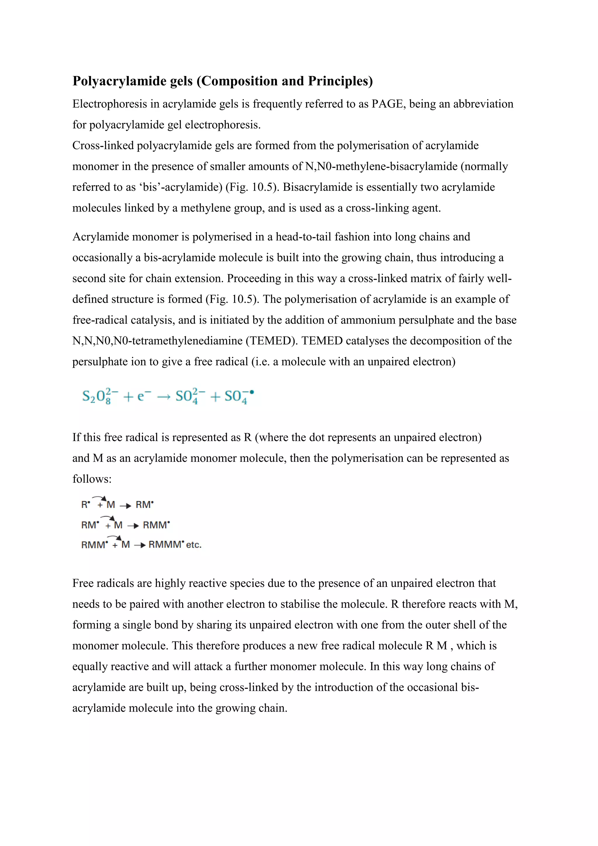 1D PAGE (Poly Acrylamide Gel Electrophoresis) | PDF