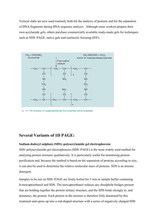 1D PAGE (Poly Acrylamide Gel Electrophoresis) | PDF