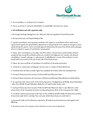 THE VIRTUAL CFO PROFILE | DOCX