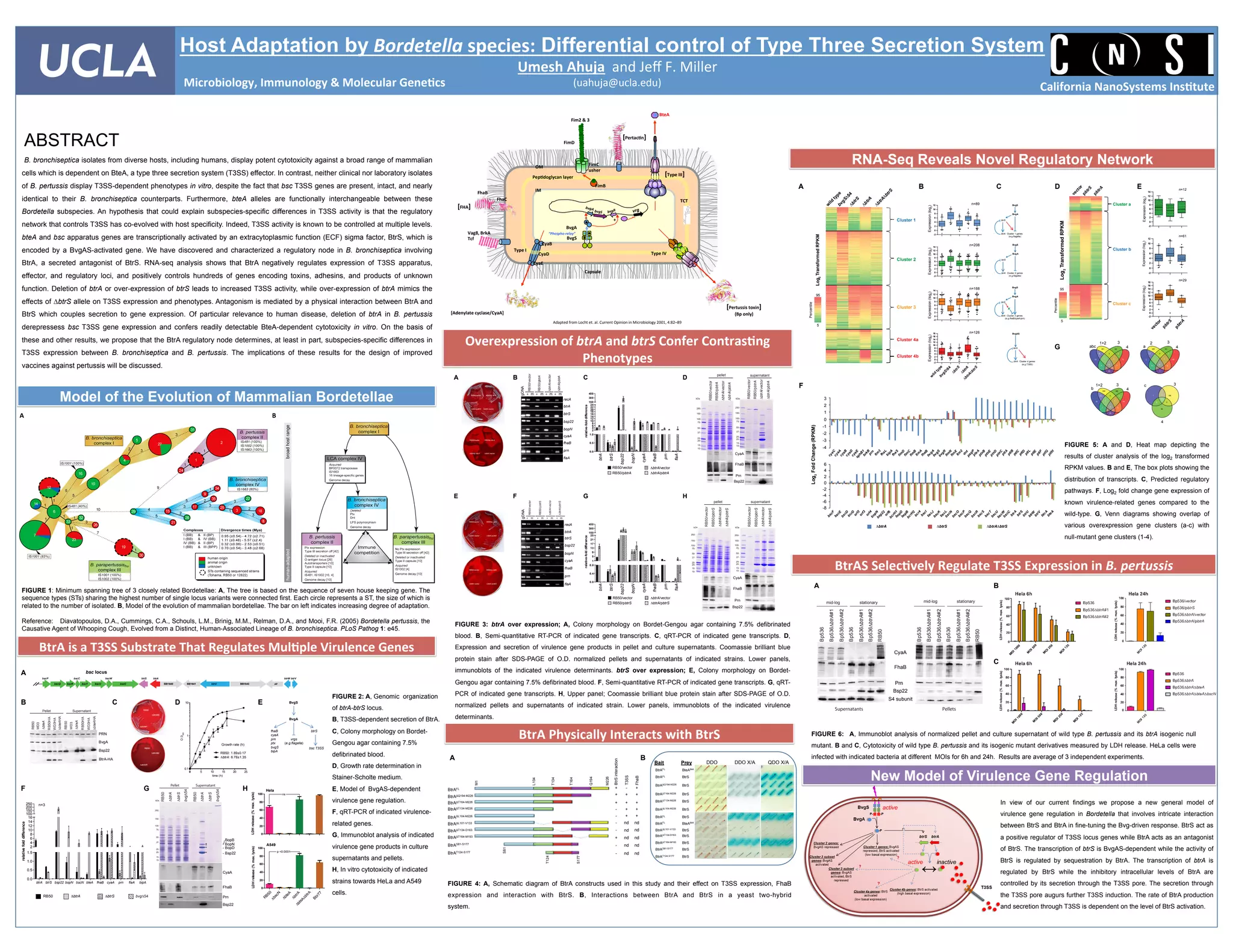 ASM Umesh poster 2015 Poster-22 | PDF