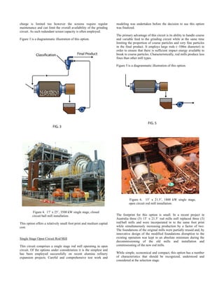 FLS TMS2010 Final | PDF