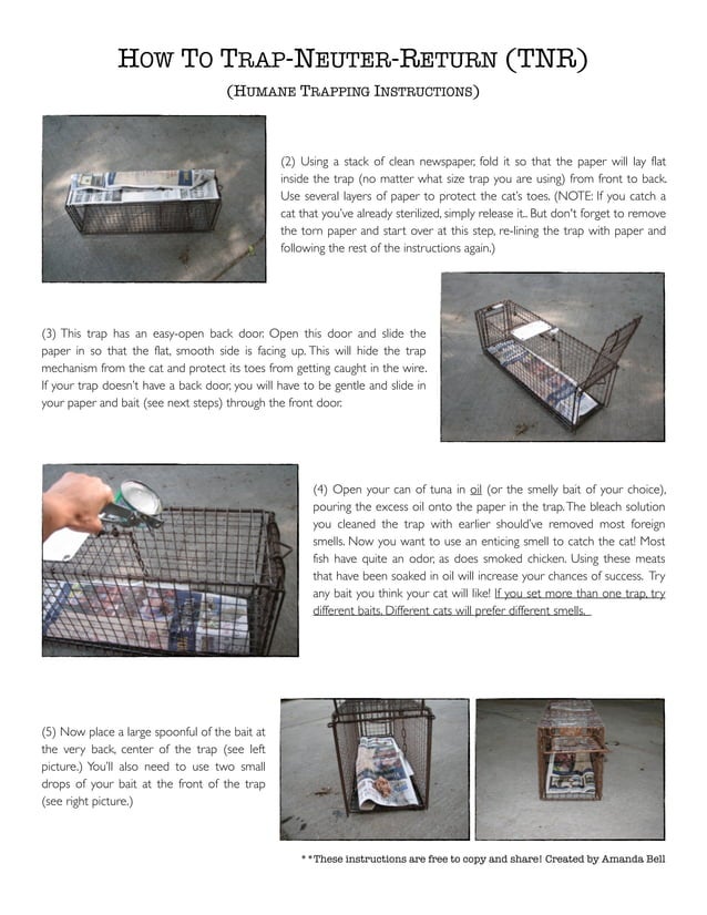Trapping Instructions | PDF