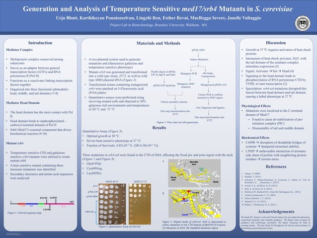 Module 3- Poster Presentation | PPT