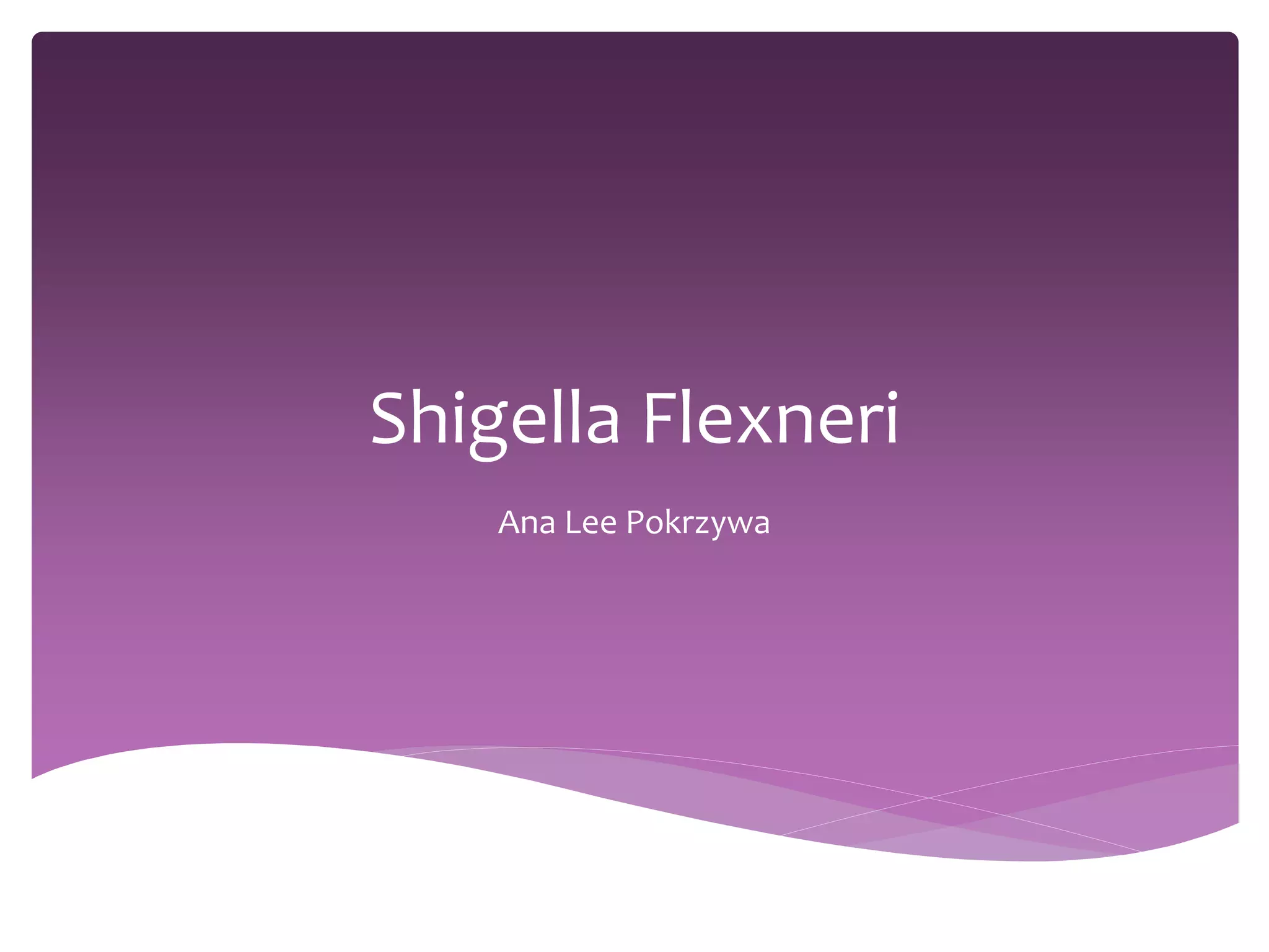 Shigella Presentation | PPTX