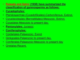 PRESENTATION OF GYMNOSPERM | PPTX