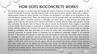 SELF HEALING CONCRETE | PPTX