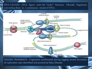 Dna replication | PPT