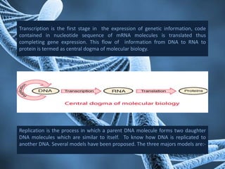 Dna replication | PPTX