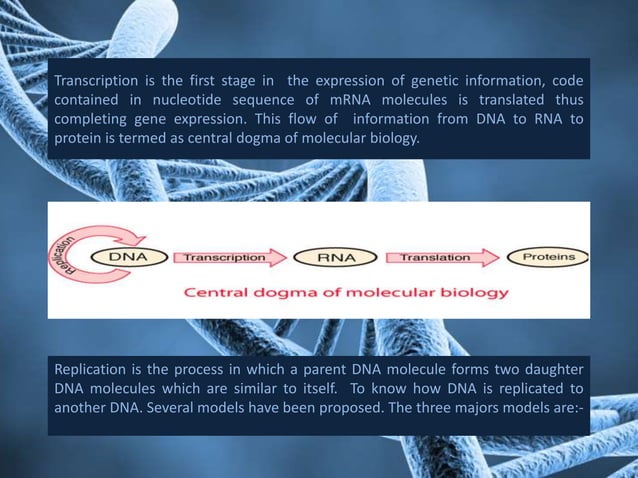 Dna replication | PPT