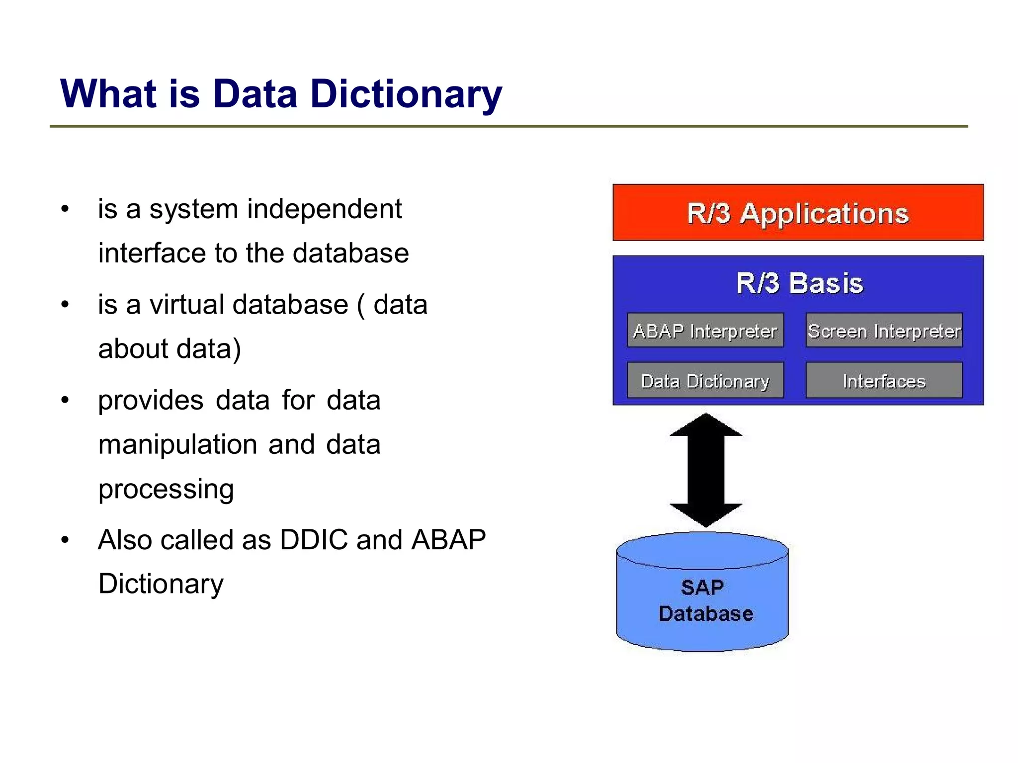 SAP ABAP data dictionary | PDF | Databases | Computer Software and Applications