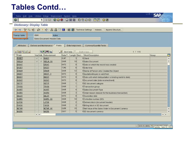 SAP ABAP data dictionary | PDF | Databases | Computer Software and Applications