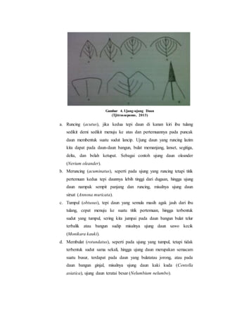 morfologi daun | PDF