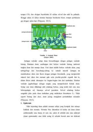 morfologi daun | PDF