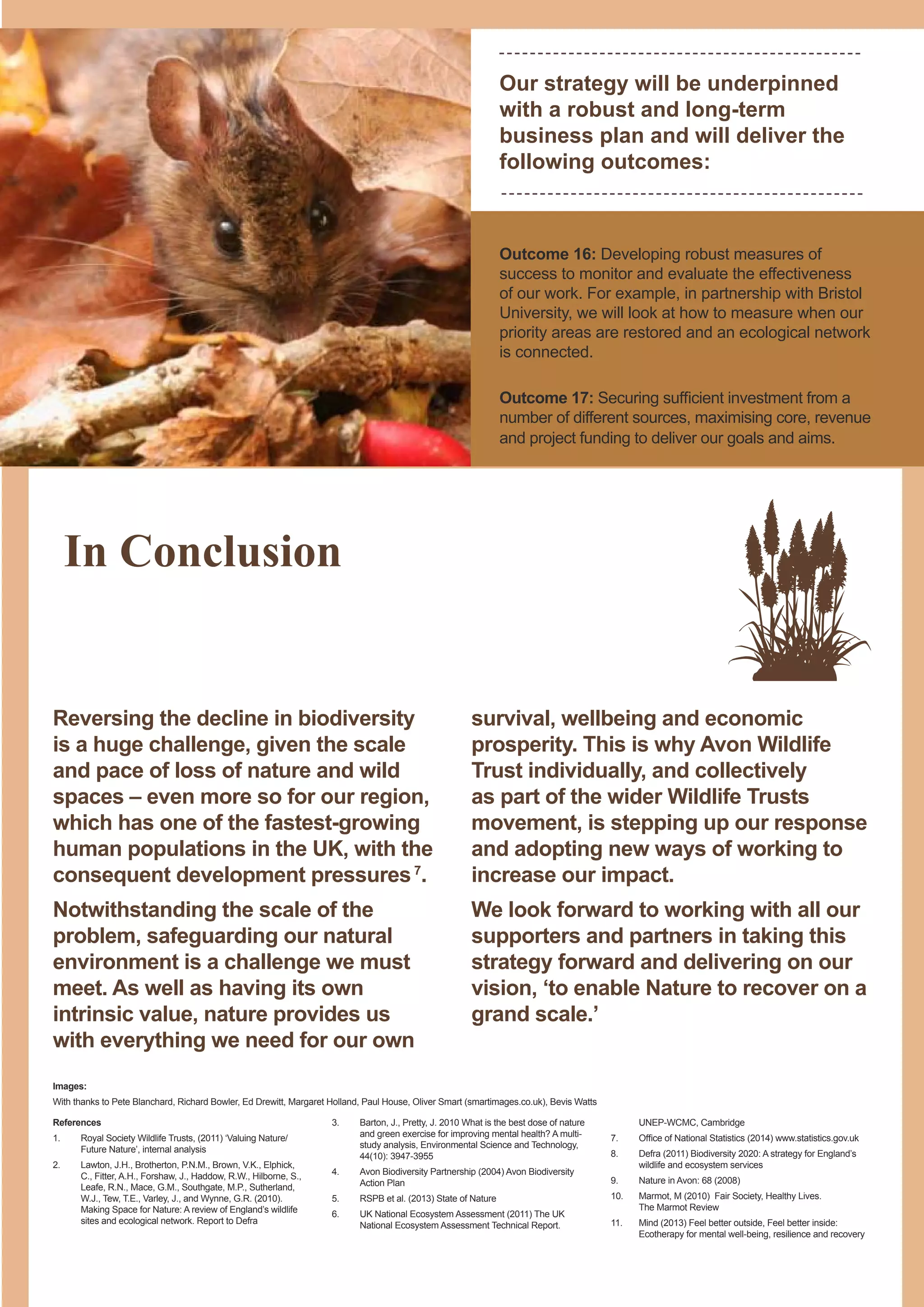 Avon Wildlife Trust. Our Vision 2015-2020. | PDF