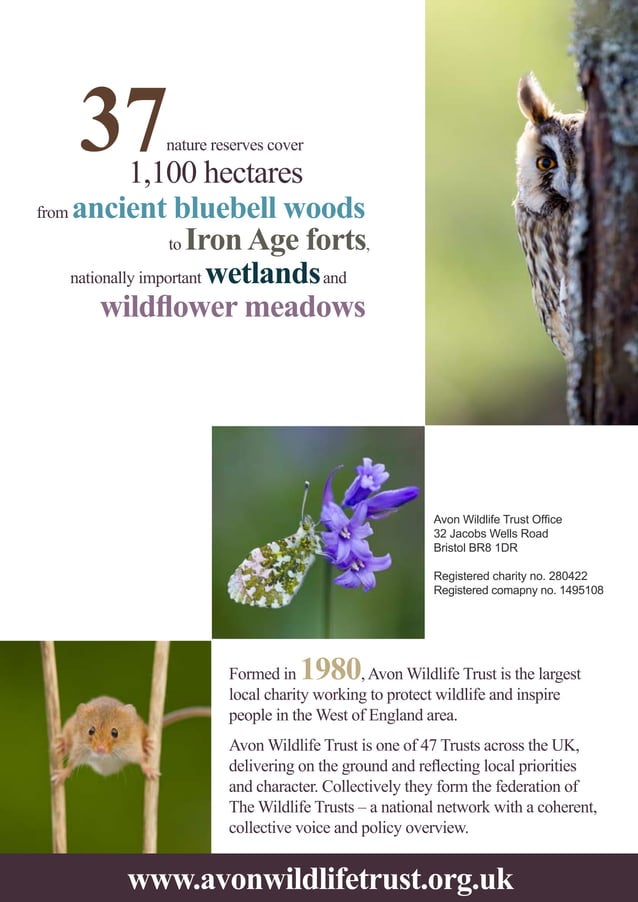 Avon Wildlife Trust. Our Vision 2015-2020. | PDF