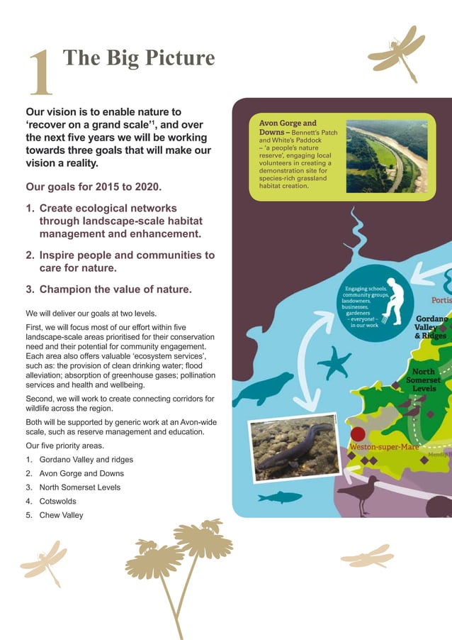 Avon Wildlife Trust. Our Vision 2015-2020. | PDF