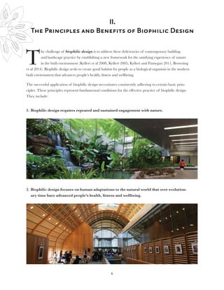 Practice of Biophilic Design | PDF