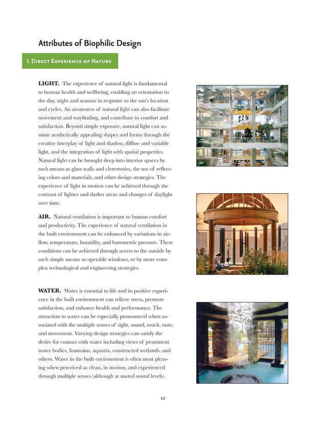 Practice of Biophilic Design