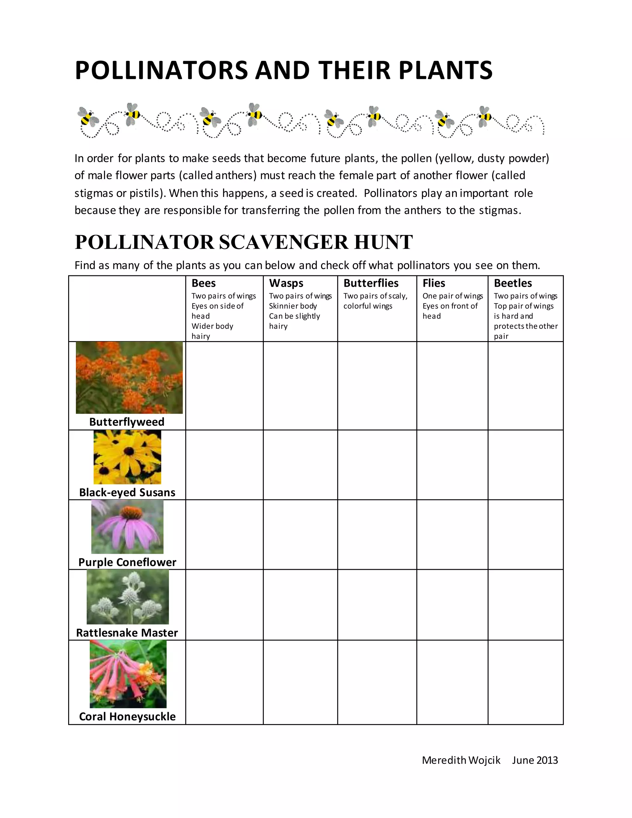 POLLINATORS AND THEIR PLANTS kids (1) | DOCX