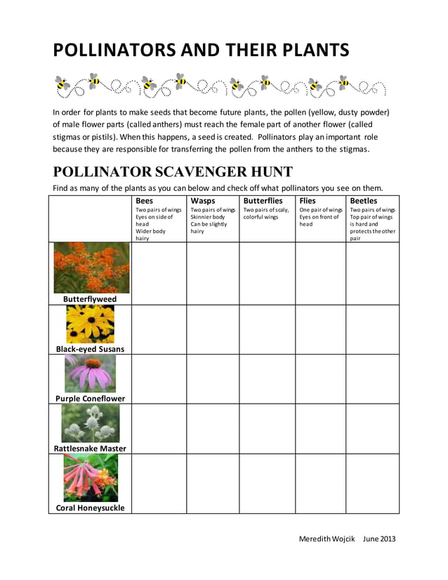 POLLINATORS AND THEIR PLANTS kids (1) | DOCX | Beekeeping | Hobbies ...