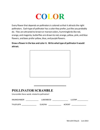 POLLINATORS AND THEIR PLANTS kids (1) | DOCX