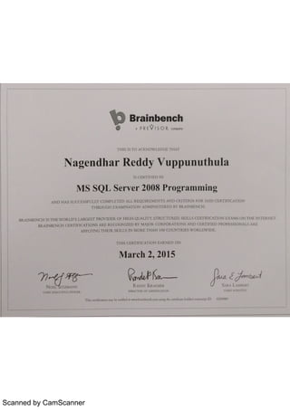 brainbench certificates | PDF
