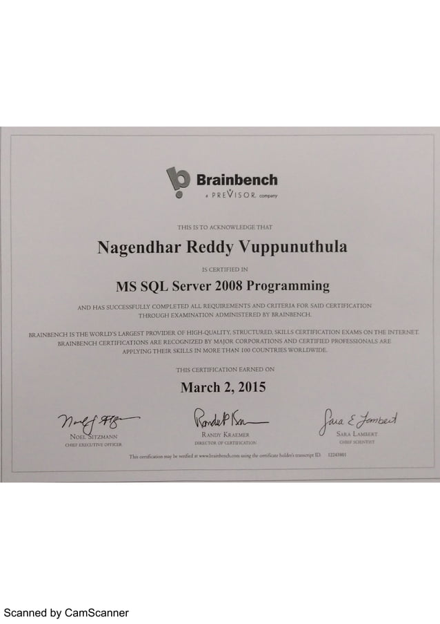 brainbench certificates | PDF