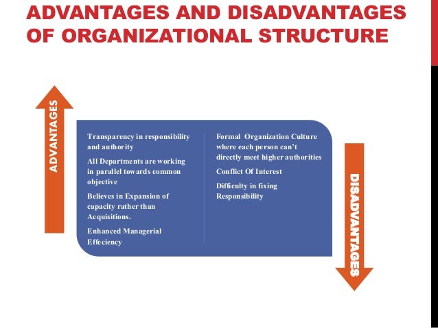 ORGANIZATIONAL STRUCTURE TRAINING
