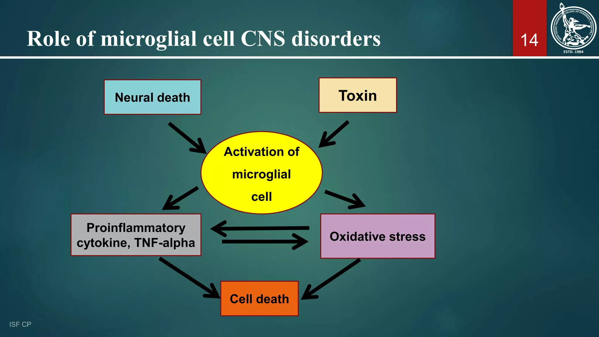 Microglial cells : overview | PPTX