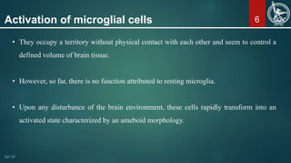 Microglial cells : overview | PPTX