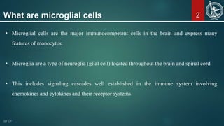 Microglial cells : overview | PPT