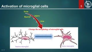 Microglial Cells