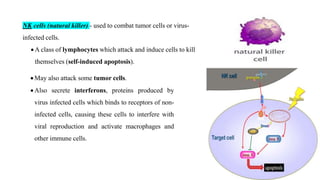 (1) Definition of immunity at an advanced level.pptx