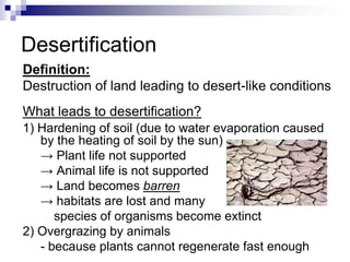 Chapter 22 Our Impact on the Ecosystem Lesson 1 - Deforestation ...