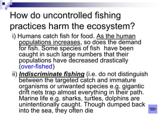 Chapter 22 Our Impact on the Ecosystem Lesson 1 - Deforestation ...