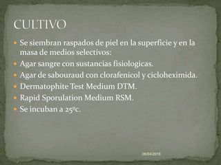 dermatophiulus congolensis- dermatofilosis | PPTX