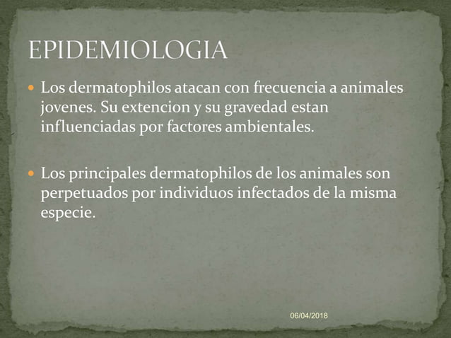 dermatophiulus congolensis- dermatofilosis | PPTX