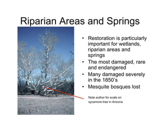 Introduction to desert ecology and restoration | PPTX