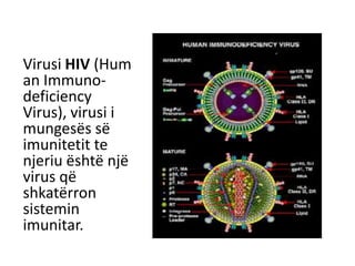 1 dhjetori dita nderkombetare kunder SIDA-se | PPTX