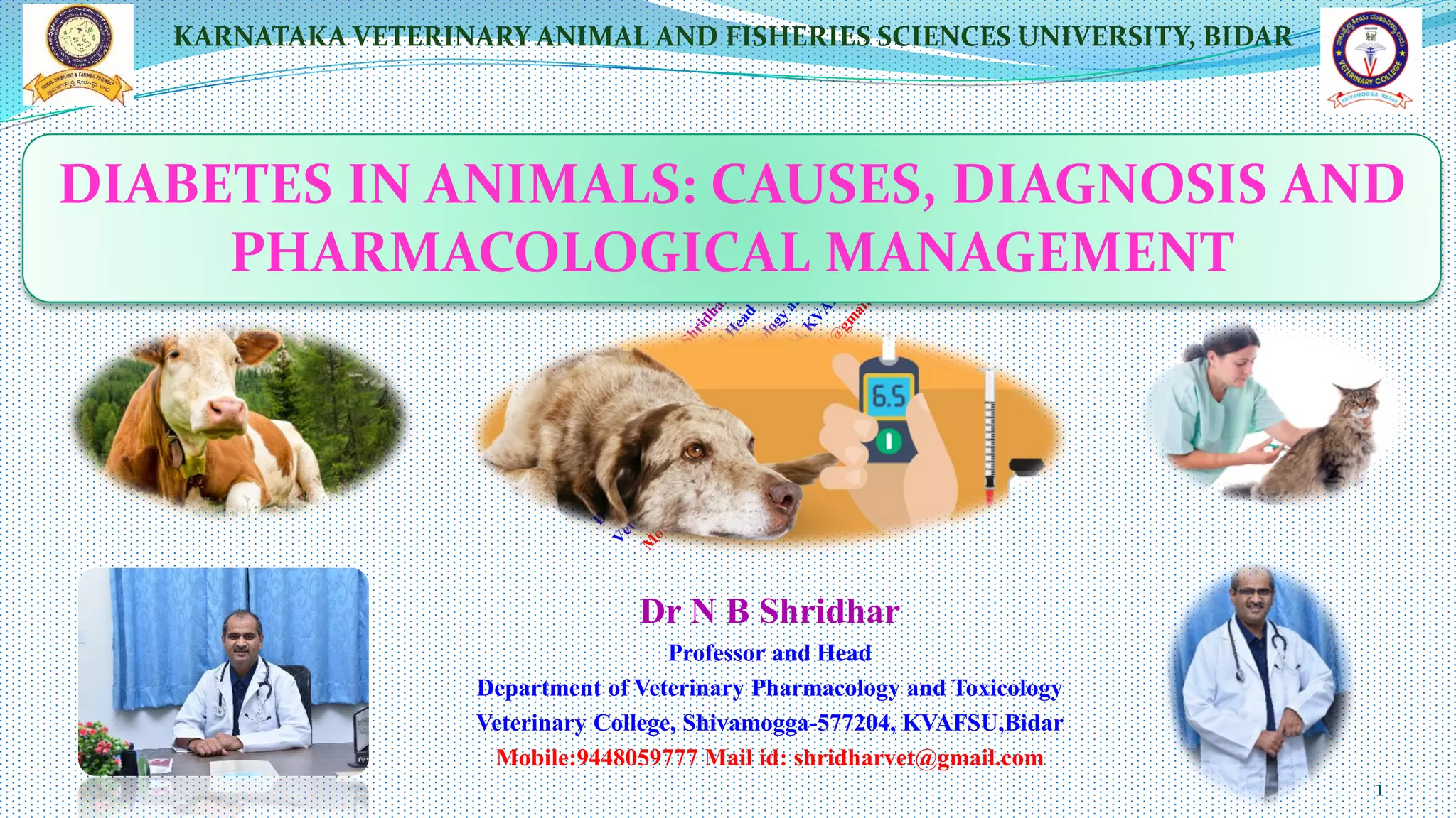 DIABETES IN ANIMALS: CAUSES, DIAGNOSIS AND PHARMACOLOGICAL MANAGEMENT | PDF