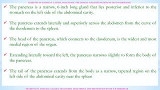 DIABETES IN ANIMALS: CAUSES, DIAGNOSIS AND PHARMACOLOGICAL MANAGEMENT | PDF