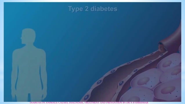 DIABETES IN ANIMALS: CAUSES, DIAGNOSIS AND PHARMACOLOGICAL MANAGEMENT ...
