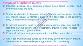 DIABETES IN ANIMALS: CAUSES, DIAGNOSIS AND PHARMACOLOGICAL MANAGEMENT | PDF