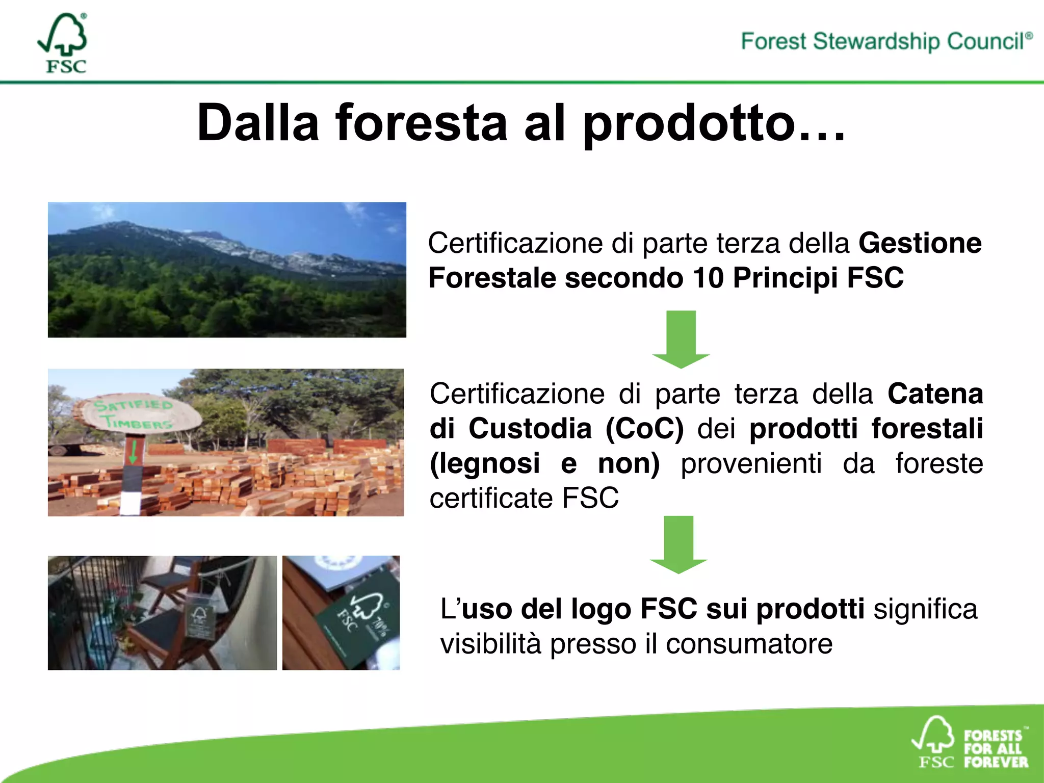 Che cos'è la Certificazione FSC® | PPT