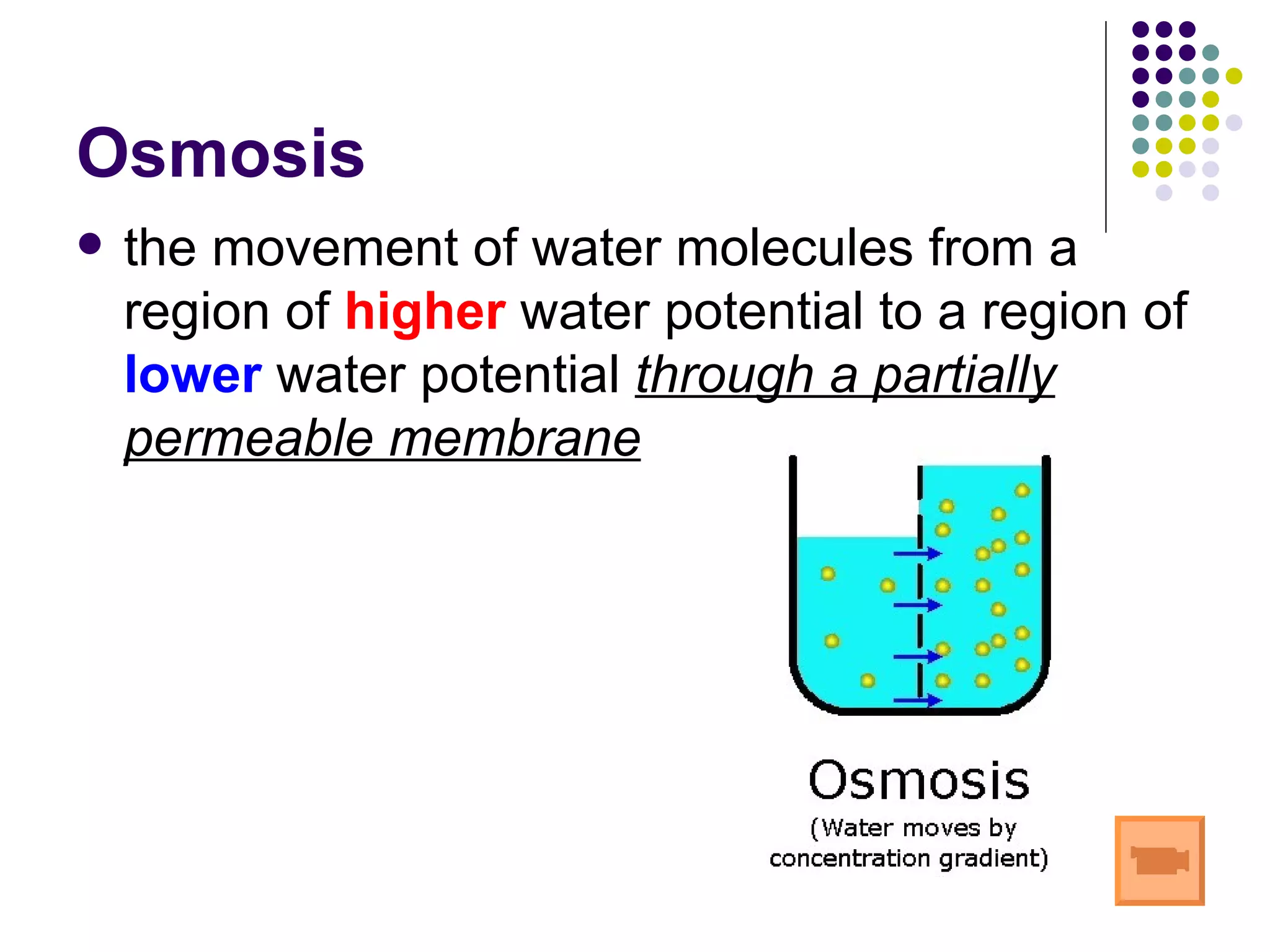 Chapter 3 Movement of Substances Lesson 1 - Diffusion and Osmosis | PPT