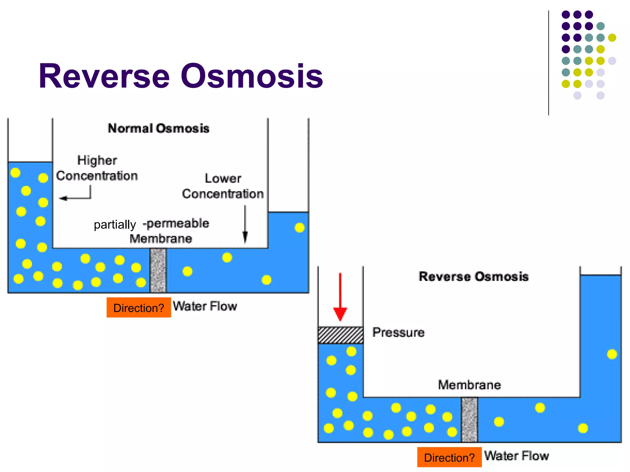 Chapter 3 Movement of Substances Lesson 1 - Diffusion and Osmosis | PPT